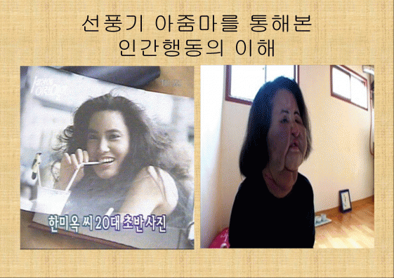 (인간행동)선풍기 아줌마를 통해본 인간행동의 이해