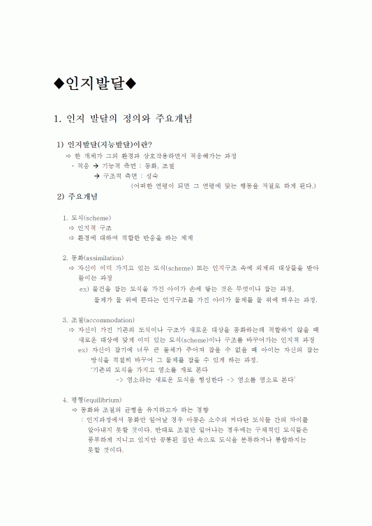 인지발달 레포트 자료