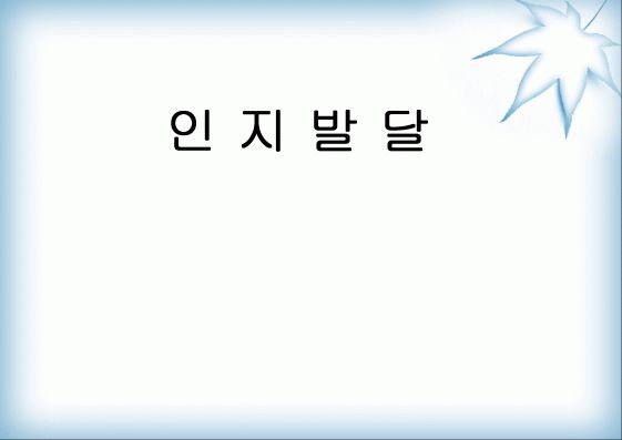 인지발달 ppt 레포트 자료