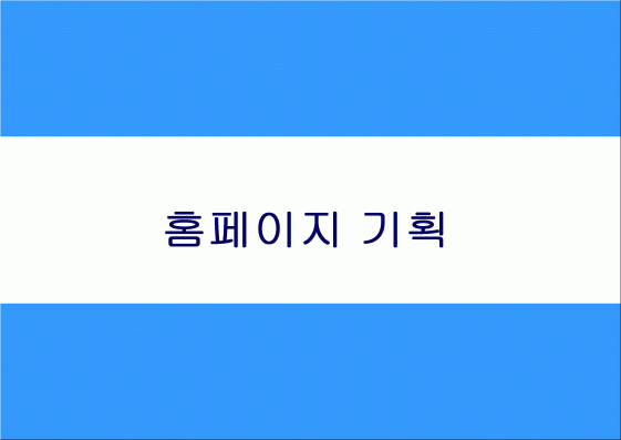 홈페이지 기획