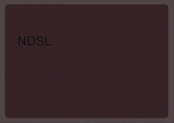 NDSL분석 레포트 자료
