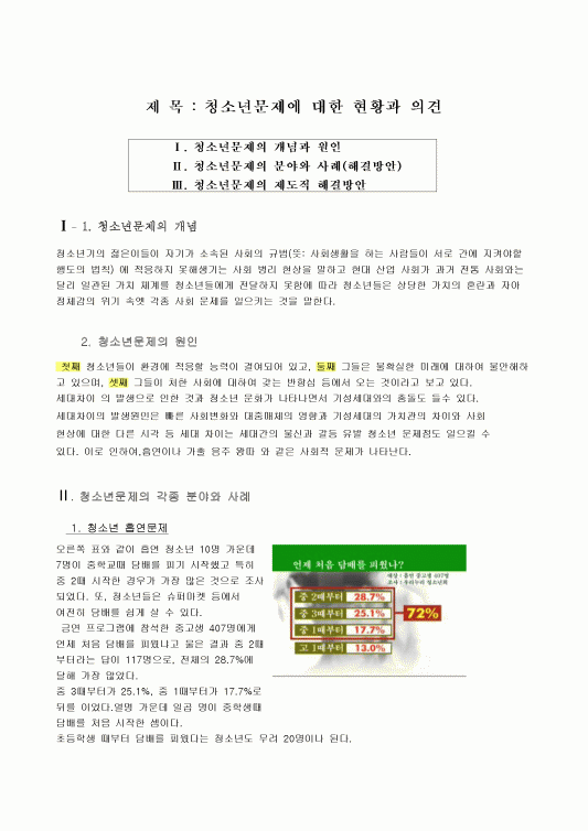 청소년문제의 제도적 해결 방안