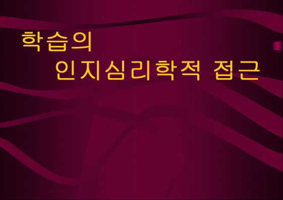 학습의 인지심리학적 접근[교육학,교육심리]