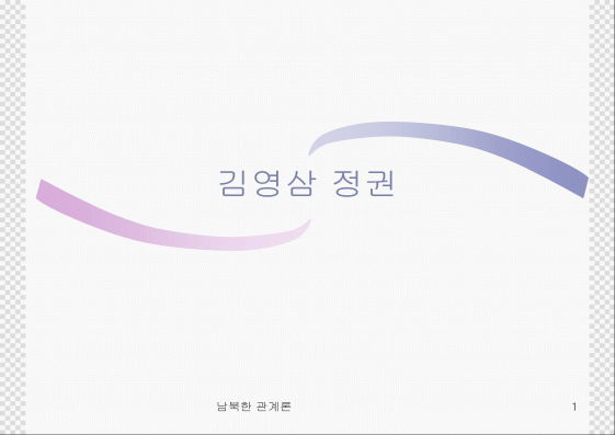 (통일 정책) 김영삼 대통령이 이룩한 사업과 대북 통일 정책