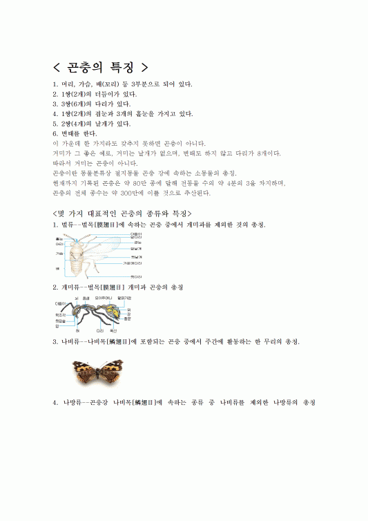 곤충의 형태적 특징