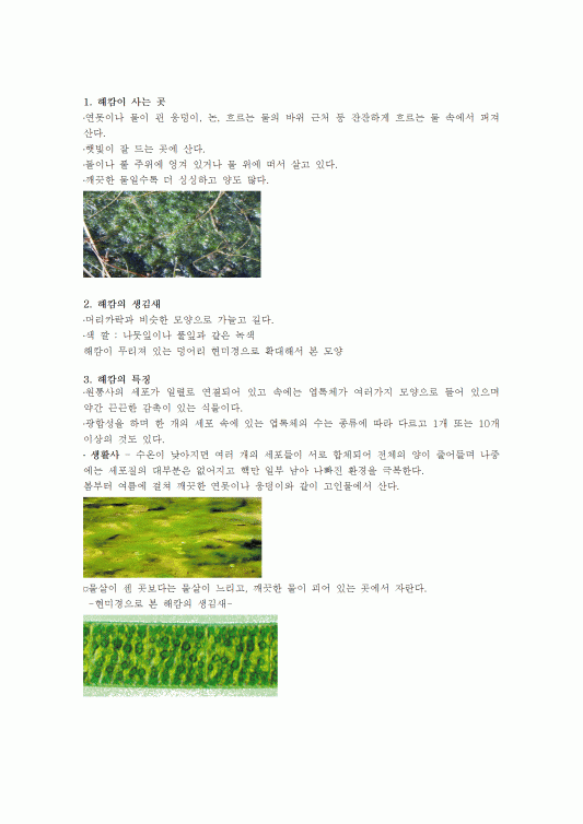 미세생물 레포트 자료