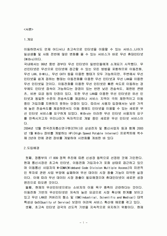 와이브로 이해와 전망 (대학)