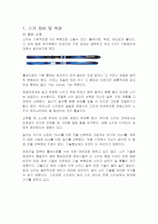 스키에 관한 것
