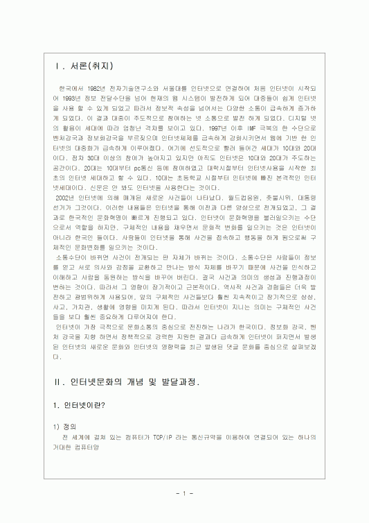 인터넷 댓글문화