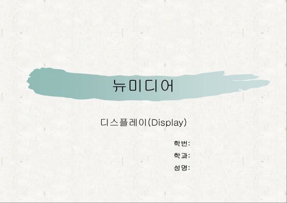 디스플레이 PPT
