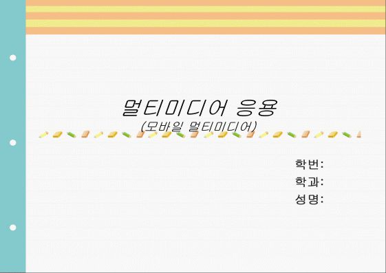 모바일 멀티미디어