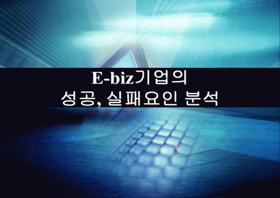 e-biz기업 성공, 실패 사례