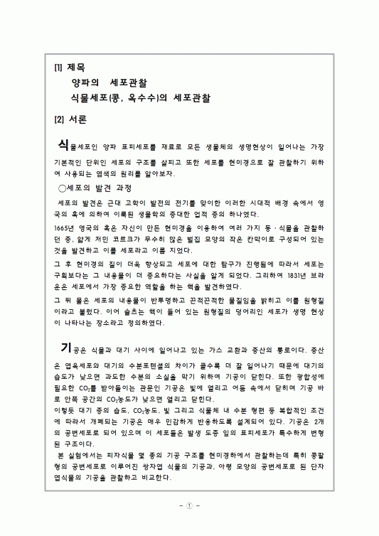양파조직과 식물세포(콩, 옥수수)의 세포관찰