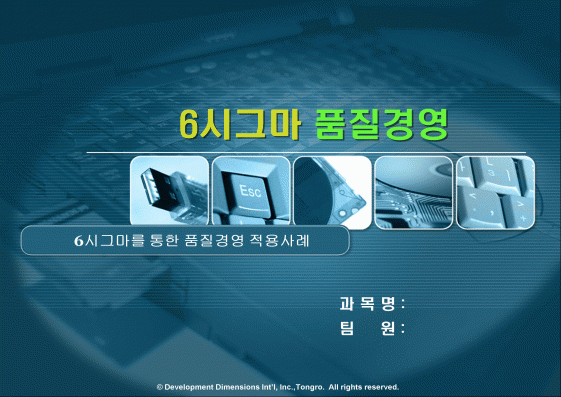 식스시그마 기업사례