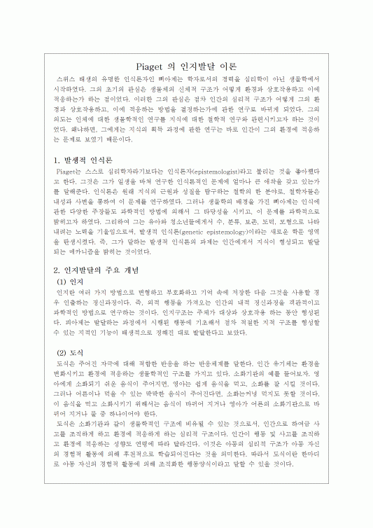 Piaget 의 인지발달 이론