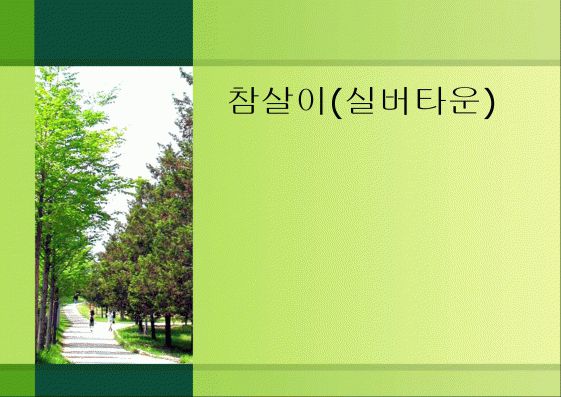 실버타운 사업계획서(A 자료)