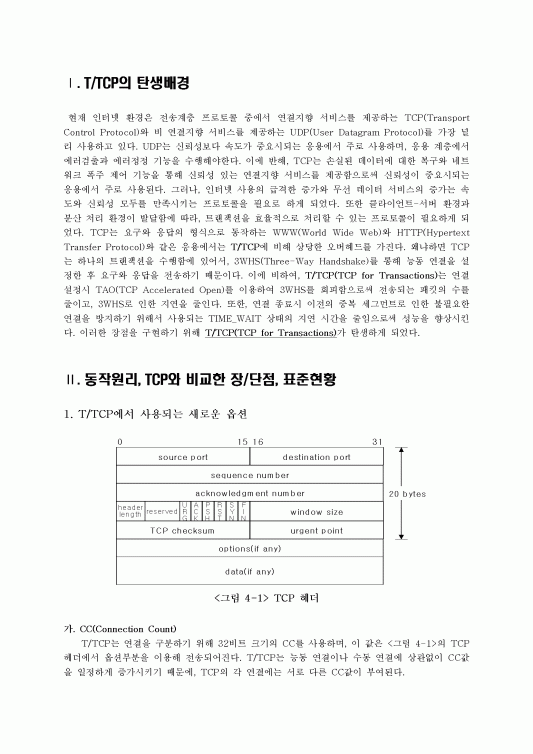 [팀플]T/TCP와 TCP에 관하여