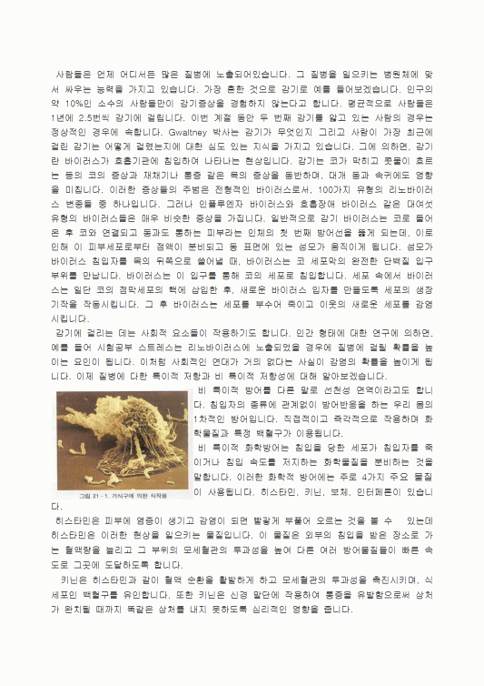 [자연과학] 면역에 대해서