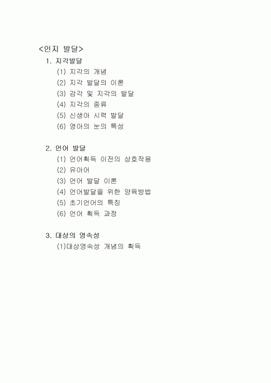 아동발달-인지발달