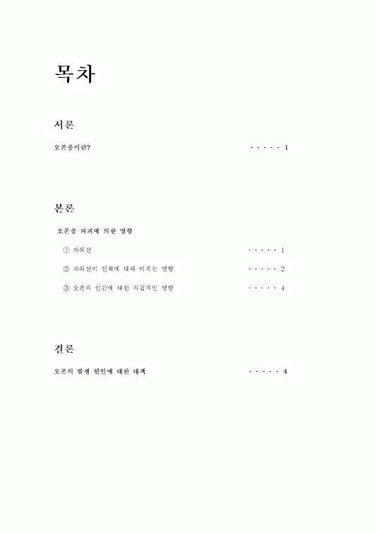 오존층의 발생원인과 해결책