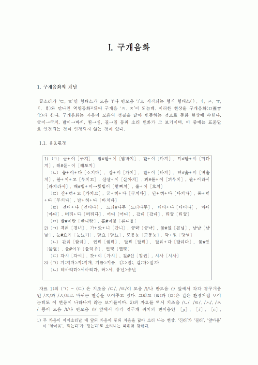 [인문과학] 구개음화