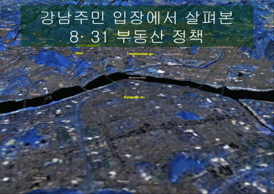(831 부동산 대책) 강남주민 입장에서 살펴본8. 31 부동산 정책의 실태와 해결방안