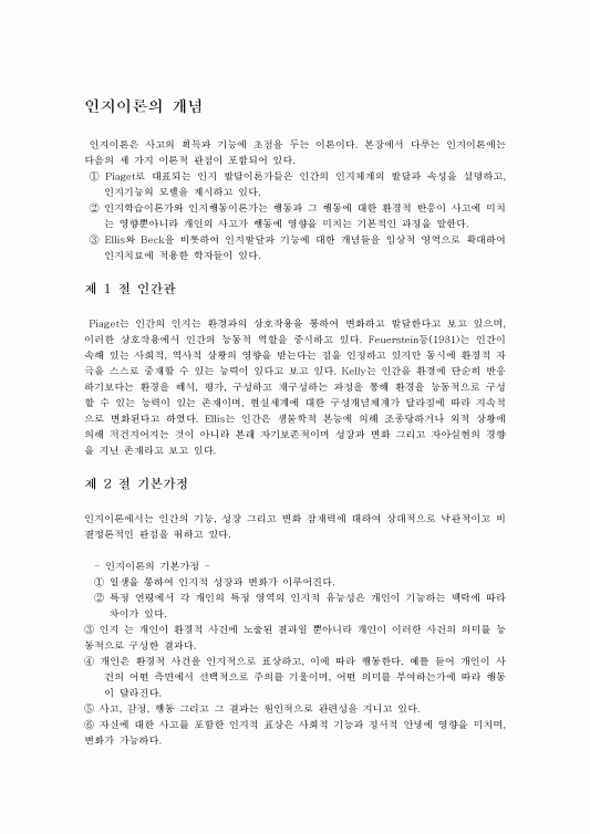 인지이론의 개념