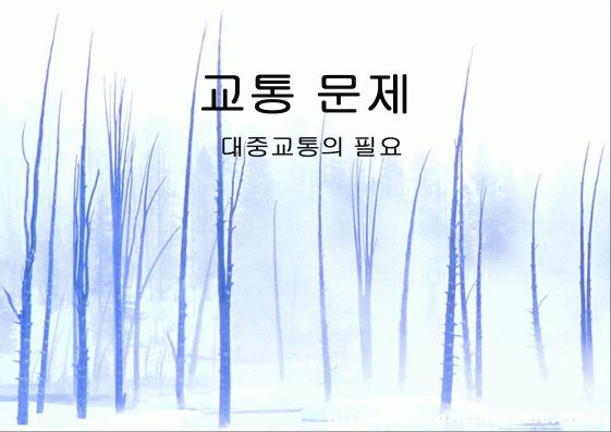 [사회과학] 교통문제