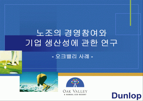 (노사관계론) 근로자의 경영참여 개념과 발전방향 제언 (고급파워포인트)