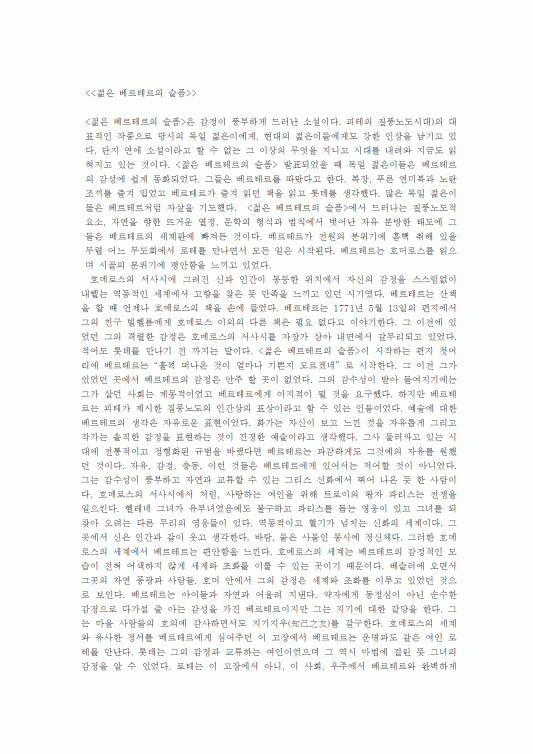 젊은 베르테르의 슬픔 읽고 쓴 독후감
