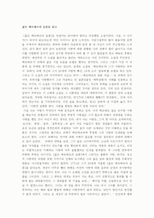 젊은 베르테르의 슬픔 독후감