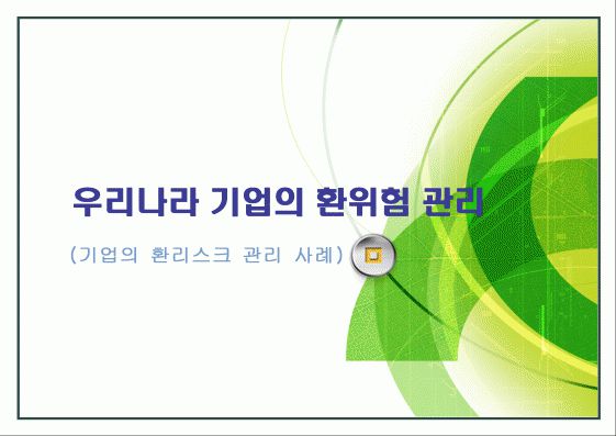 우리나라 기업의 환위험 관리방안