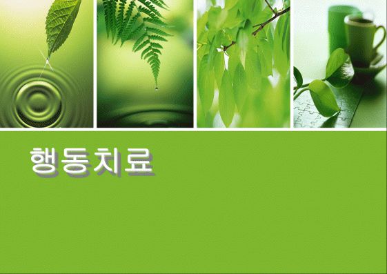 행동치료 레포트 자료