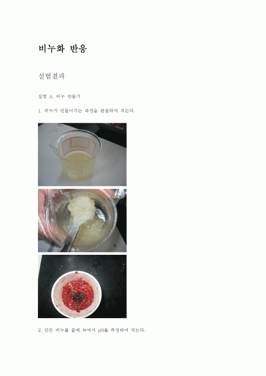 [화학실험] 비누화반응