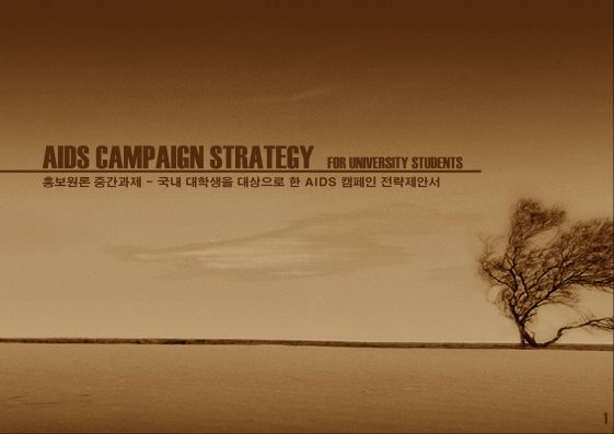 (에이즈 캠페인 전략)AIDS CAMPAIGN STRATEGY