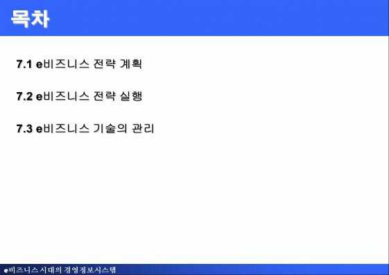 e비즈니스 기획과 조직