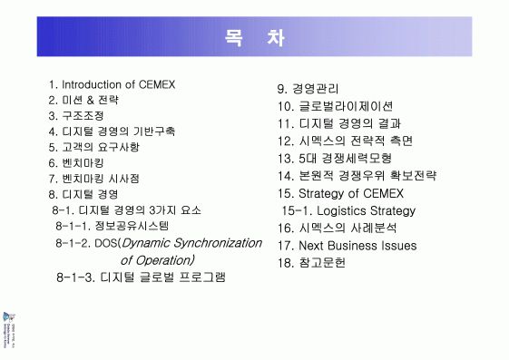 시멕스(CEMEX)의 정보시스템사례