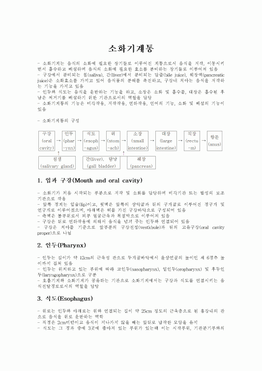 [의약학] 소화기계통