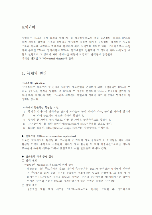 복제의 원리 레포트 자료