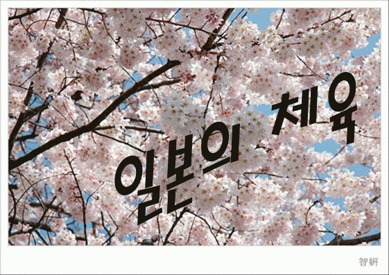 [사회과학] 일본의 역사 [분석/조사]