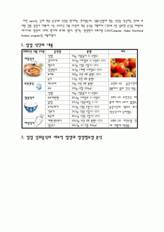 일일 섭취 칼로리와 영양평가