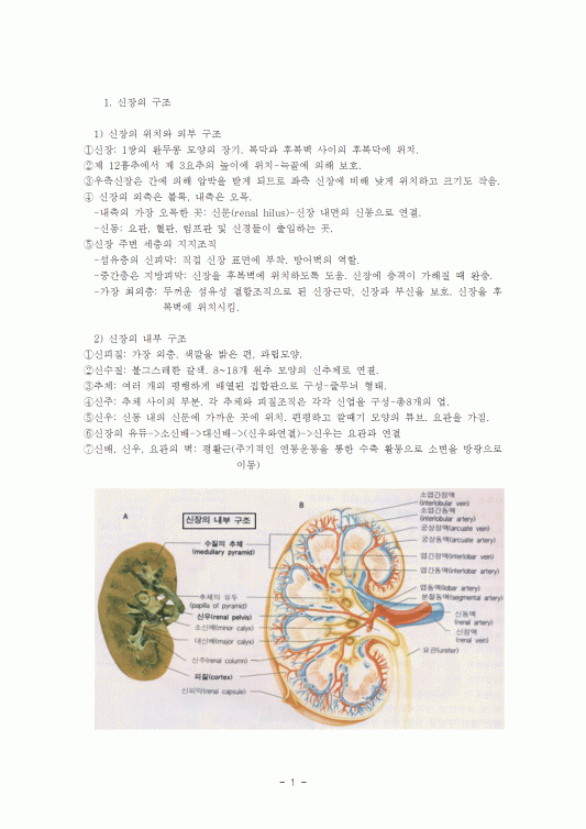 비뇨기계 레포트 자료