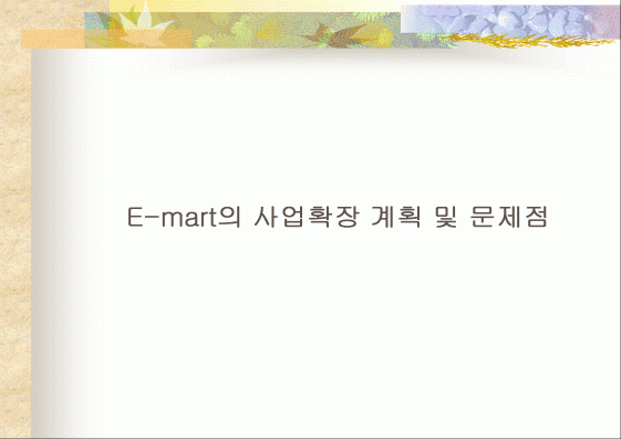 이 마트의 중국 현지 사업확장 계획 및 문제점