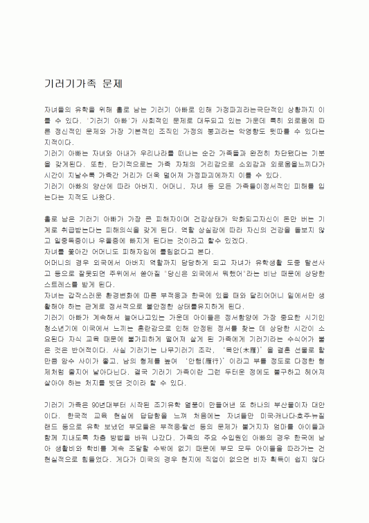기러기가족문제