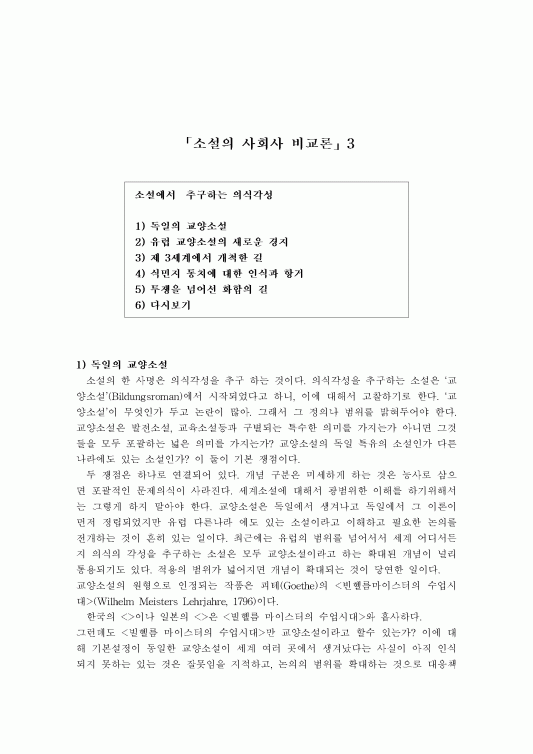 소설의 사회사 비교론 3