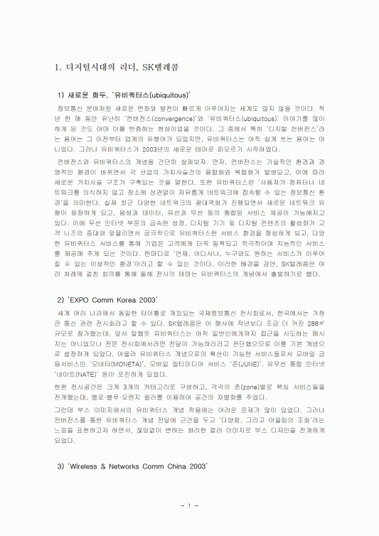 SK텔레콤의 경영전략과 미래