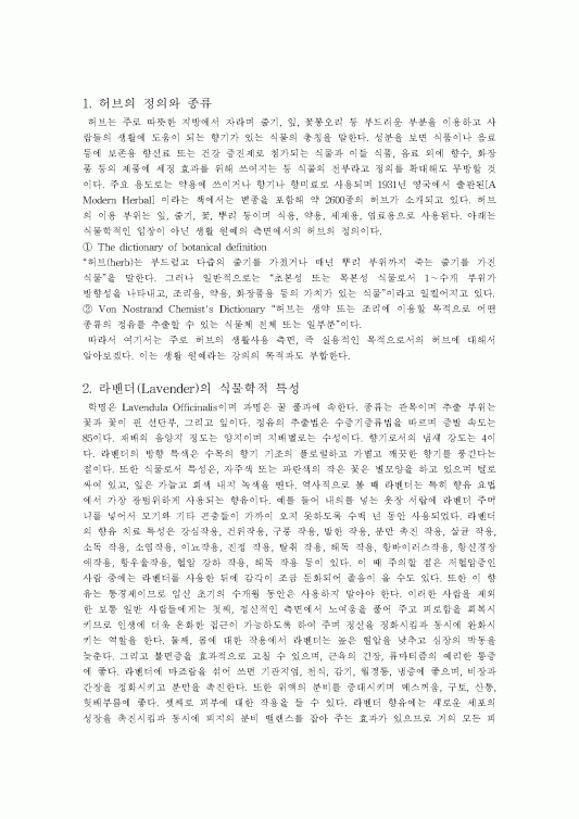라벤다 허브에 대한 조사