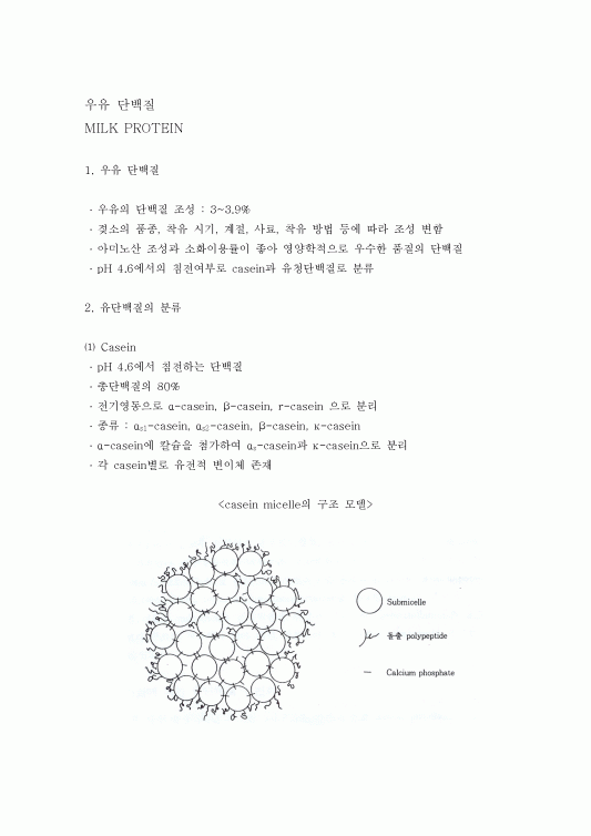 우유단백질 레포트 자료
