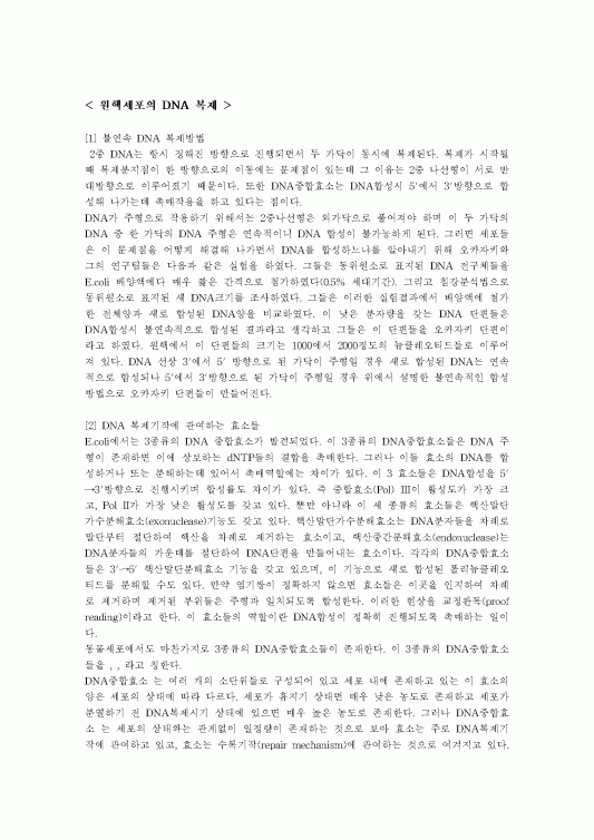 원핵세포의 DNA 복제와 진핵생물의 DNA 복제