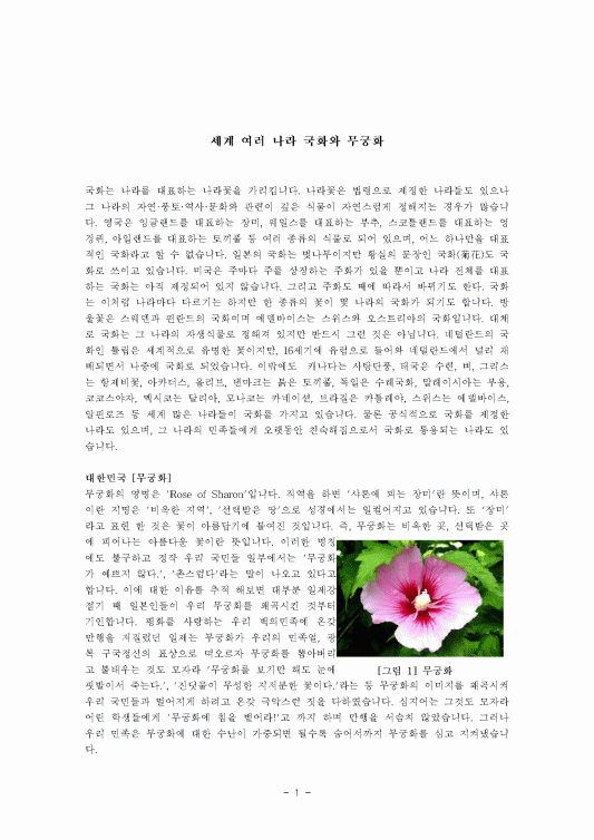 세계 여러 나라 국화와 무궁화 / 행운목